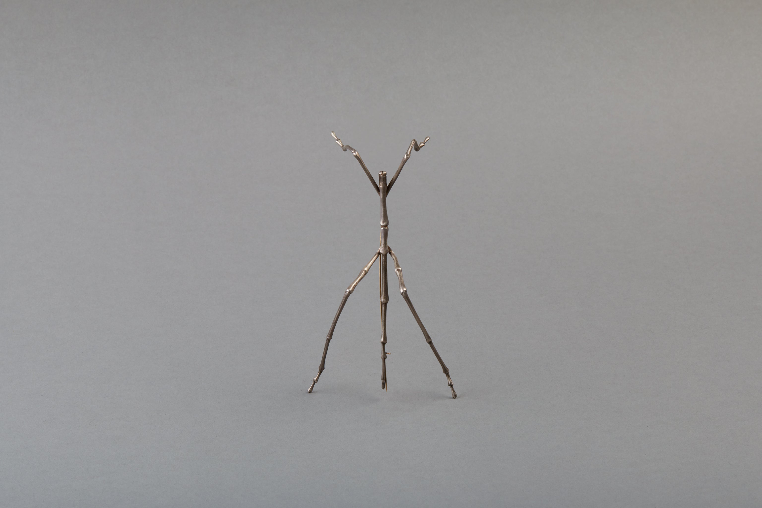 Walking Stick Bug: Silver – E.R. Butler & Co.